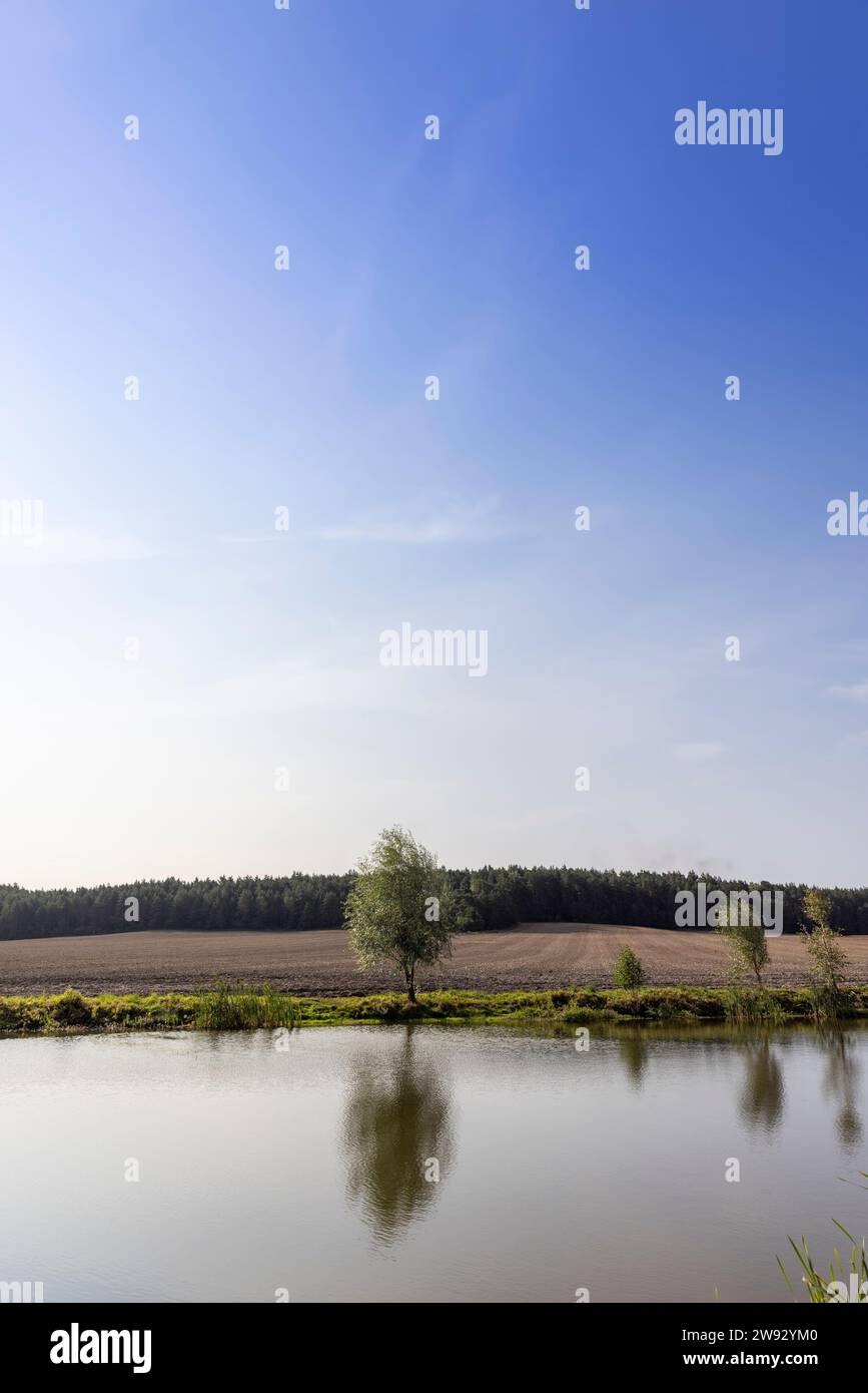 Growing trees near shore picturesque hi-res stock photography and ...