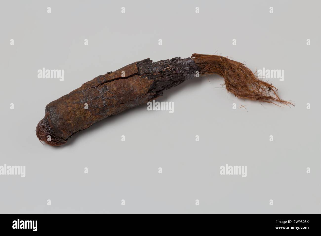 Fragment of a rope from the wreck of the VOC East Indians' tvaarder, c ...