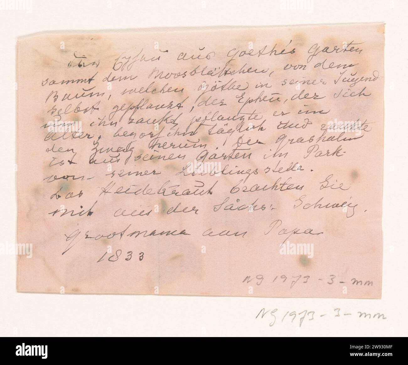 Two dried twigs from Goethes Garden, Anonymous, 1833 letter ...