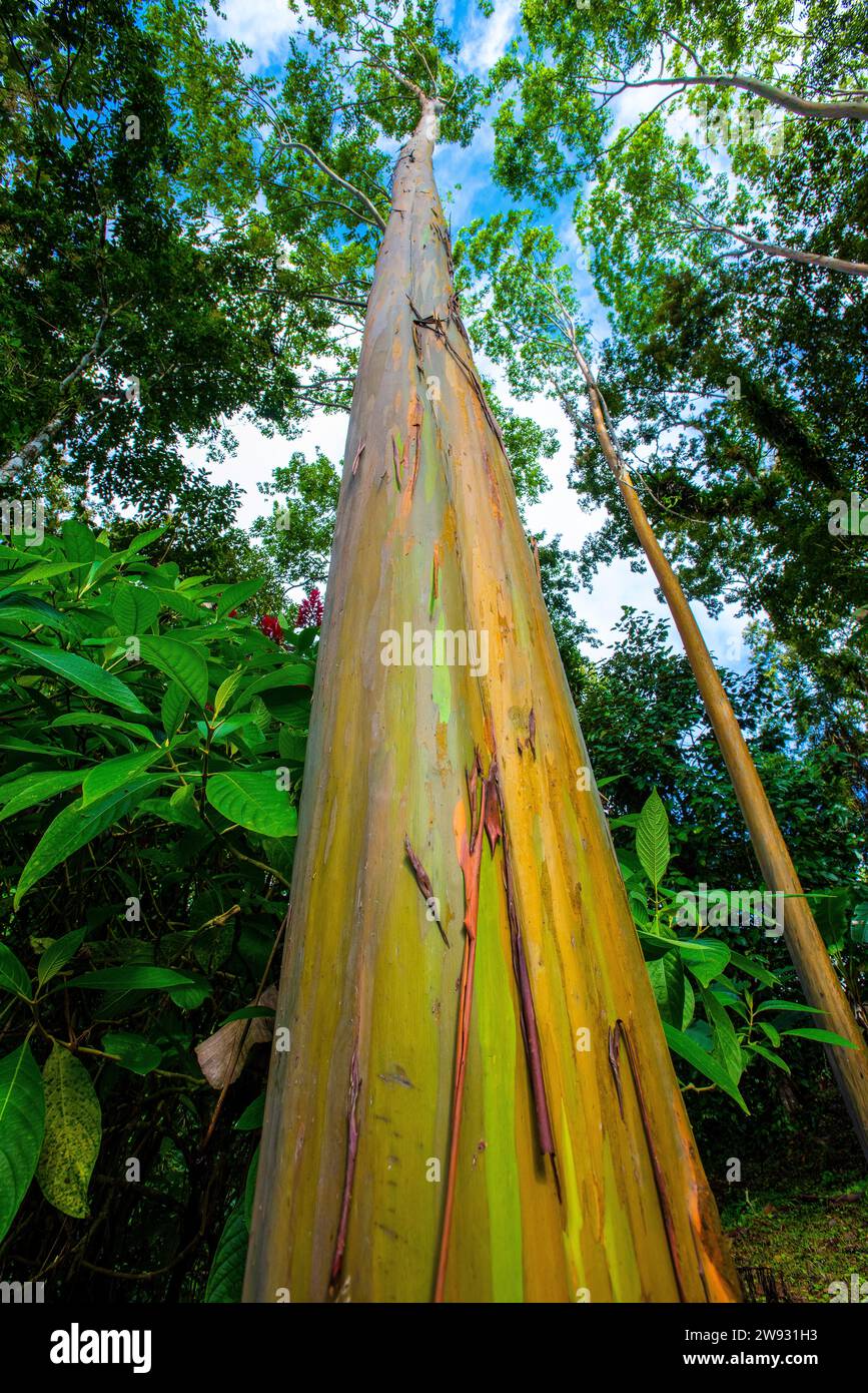 aerial view of Singer Island, Florida Stock Photo - Alamy