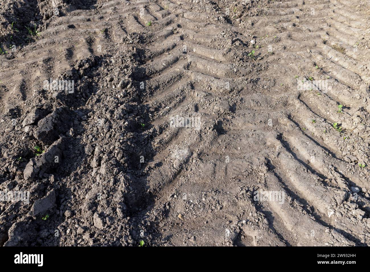 traces of heavy vehicles on a sandy road, tracks from the tread of ...