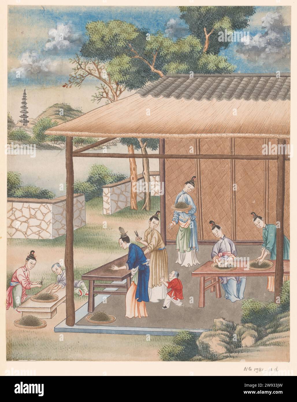 Fine cutting and sorting the tea, anonymous, c. 1770 drawing Behind two ...