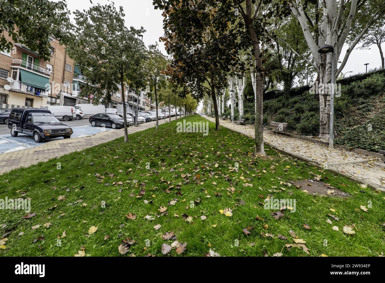 gardens with grass and trees within a small wedge-shaped urban park ...
