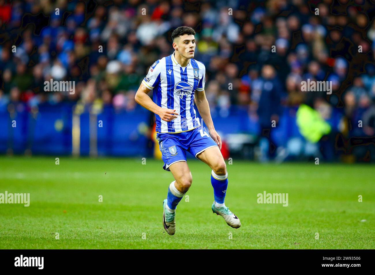 Hillsborough Stadium, Sheffield, England - 23rd December 2023 Bailey ...