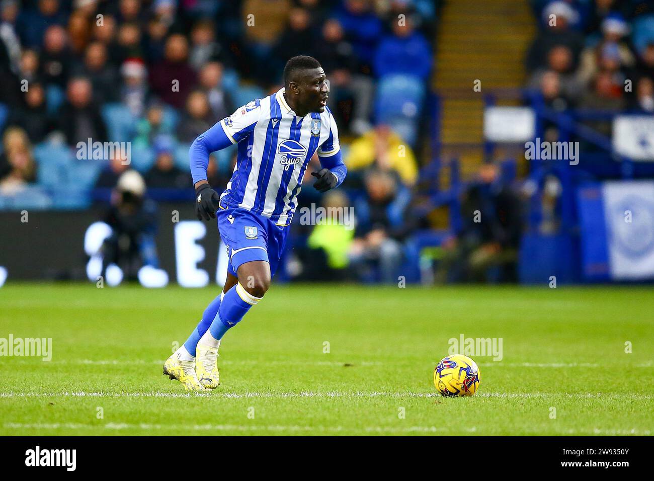 Hillsborough Stadium, Sheffield, England - 23rd December 2023 Bambo ...