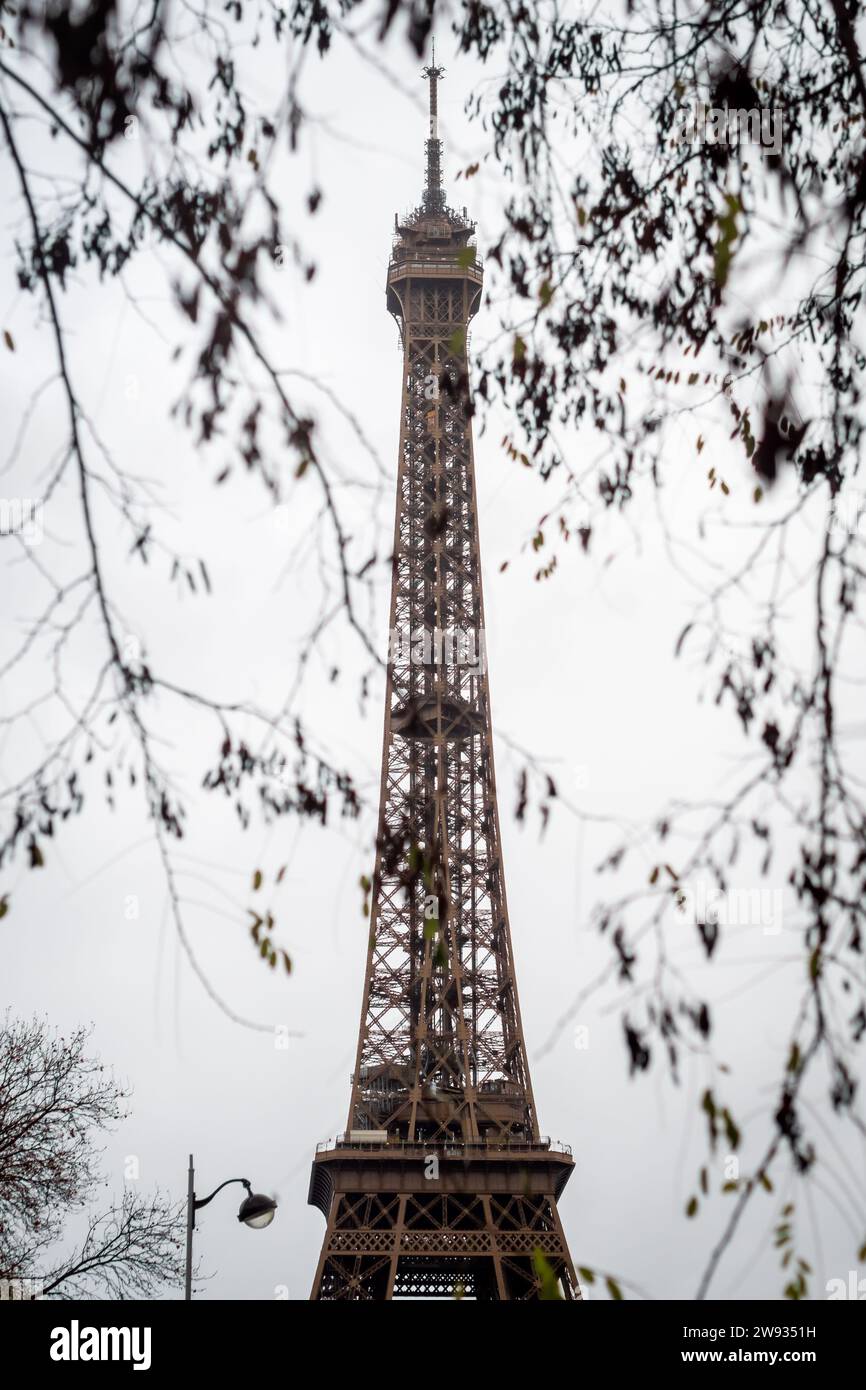 Autumn branches on the Eiffel Tower in Paris in the rain - France Stock ...