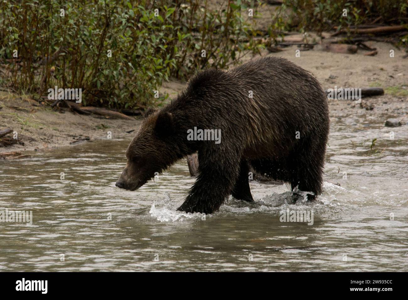 Orford river canada hi-res stock photography and images - Alamy