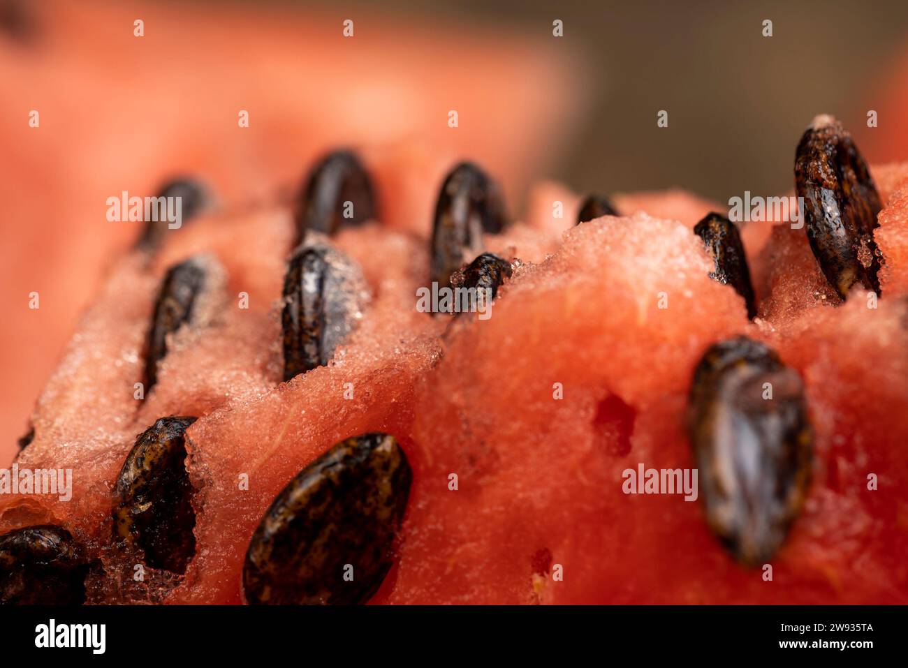 Red watermelon with lots of black seeds, delicious ripe watermelon with ...