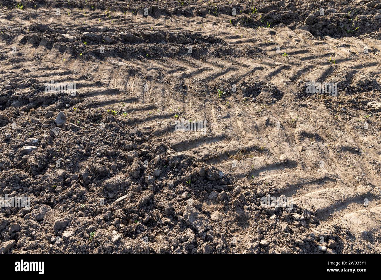 traces of heavy vehicles on a sandy road, tracks from the tread of ...