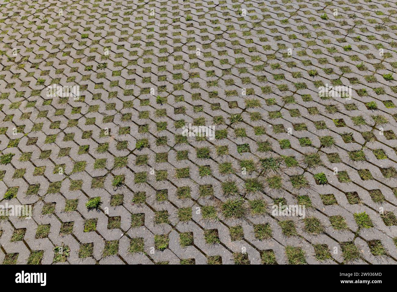 a tile with grass growing in it, a modern concrete tile that allows ...