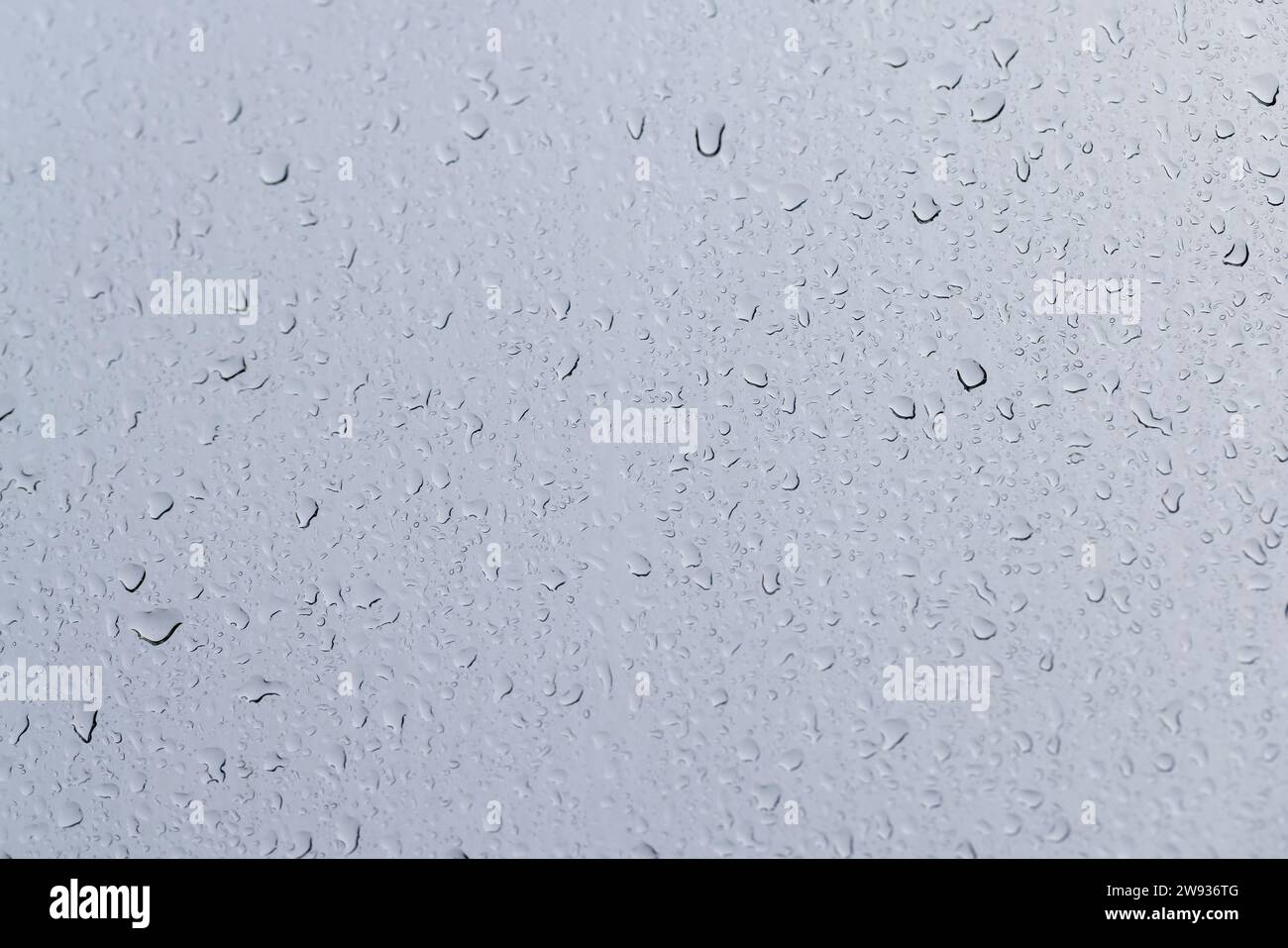 water drops on the glass during rain, wet transparent glass with water ...