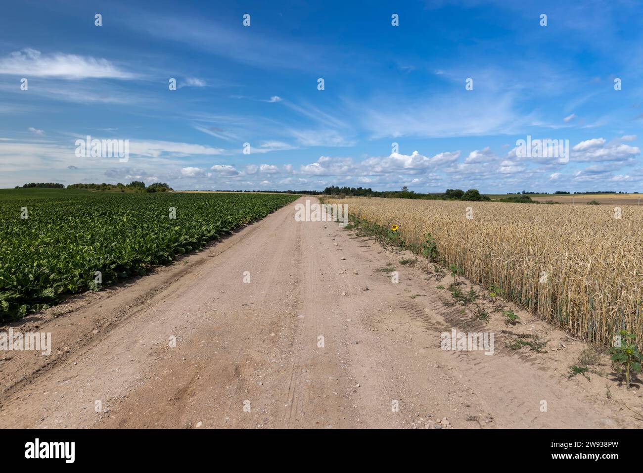 Poor infrastructure hi-res stock photography and images - Alamy