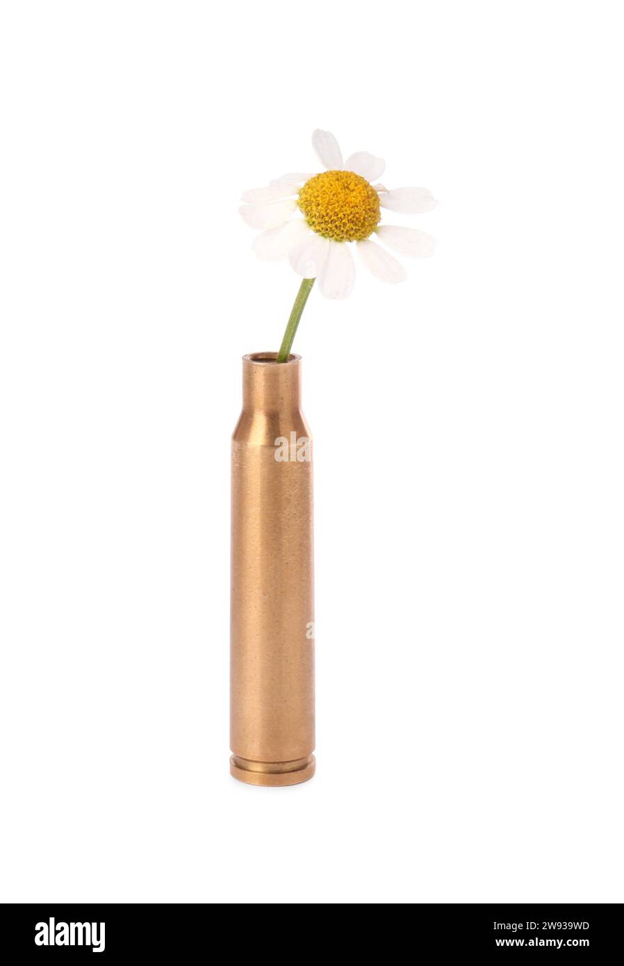 Beautiful flower in bullet case isolated on white Stock Photo - Alamy