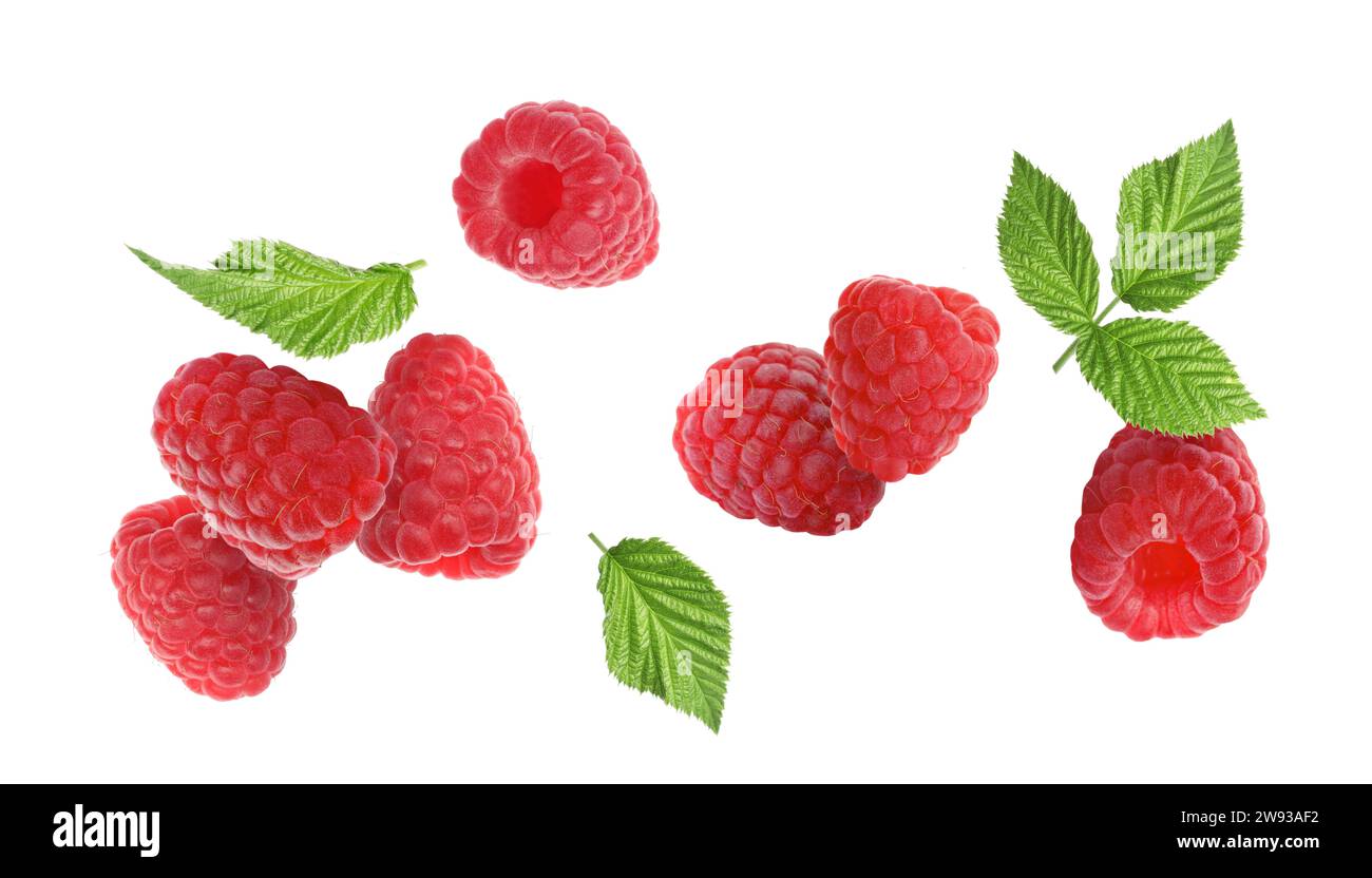 Fresh ripe raspberries and green leaves falling on white background ...