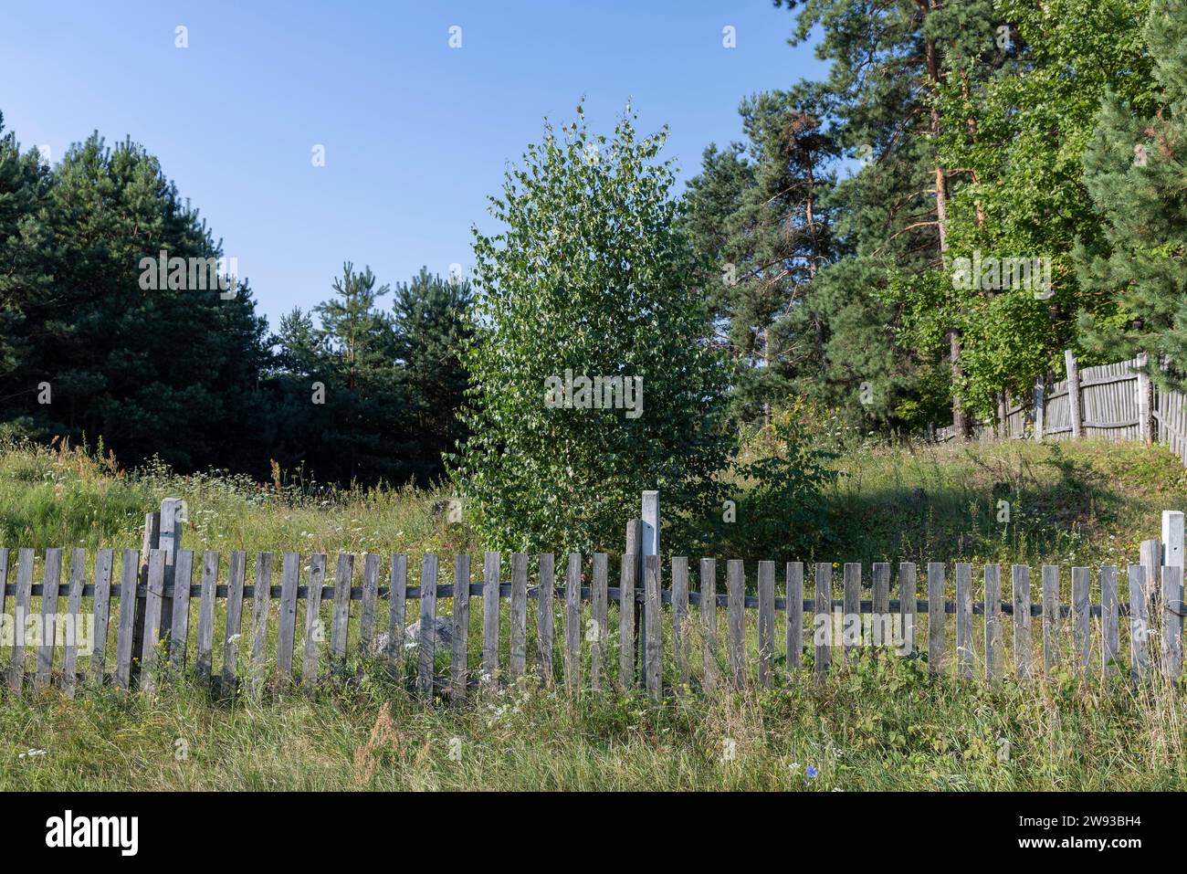Wooden fence for security, delineation of the territory of different ...