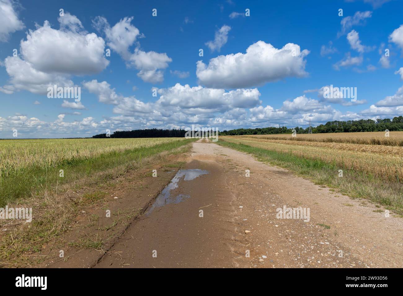 sandy road in a field for car traffic, a road through a field with poor ...