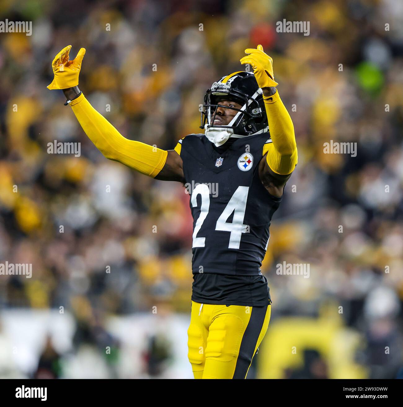 Joey porter jr steelers hi-res stock photography and images - Alamy