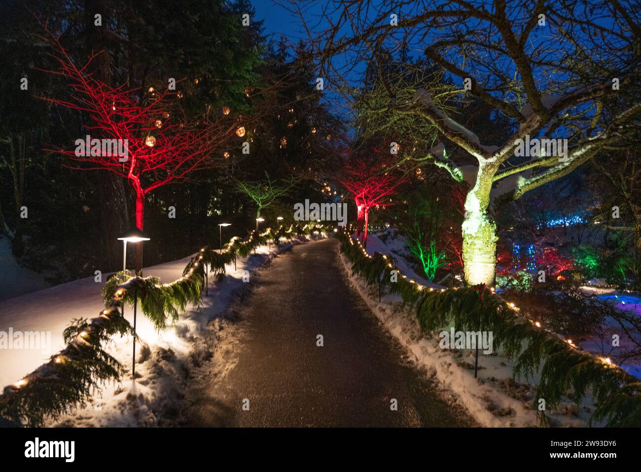 Well lit pathway with Christmas Lights Stock Photo - Alamy