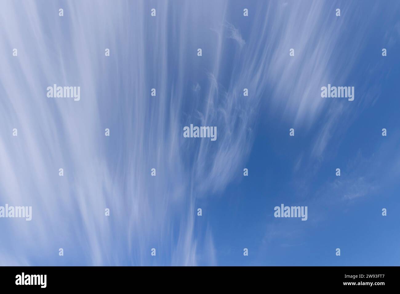 cirrus clouds in the blue sky, beautiful long cirrus clouds in the sky ...