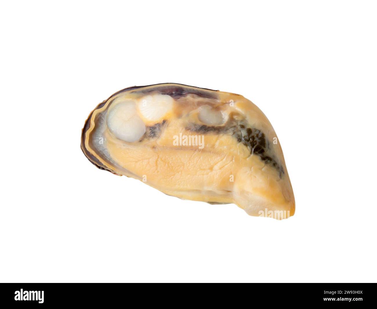 Steamed or cooked food of fresh beautiful green mussels meat is ...