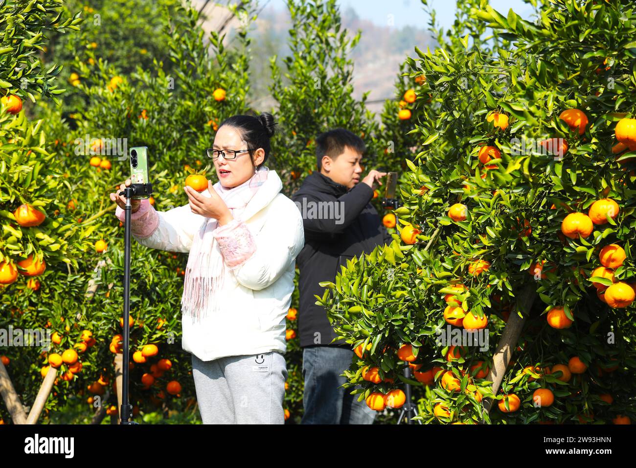 CHONGQING, CHINA - DECEMBER 23, 2023 - An Internet celebrity promotes ...