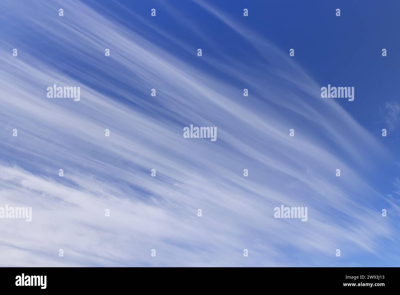cirrus clouds in the blue sky, beautiful long cirrus clouds in the sky ...