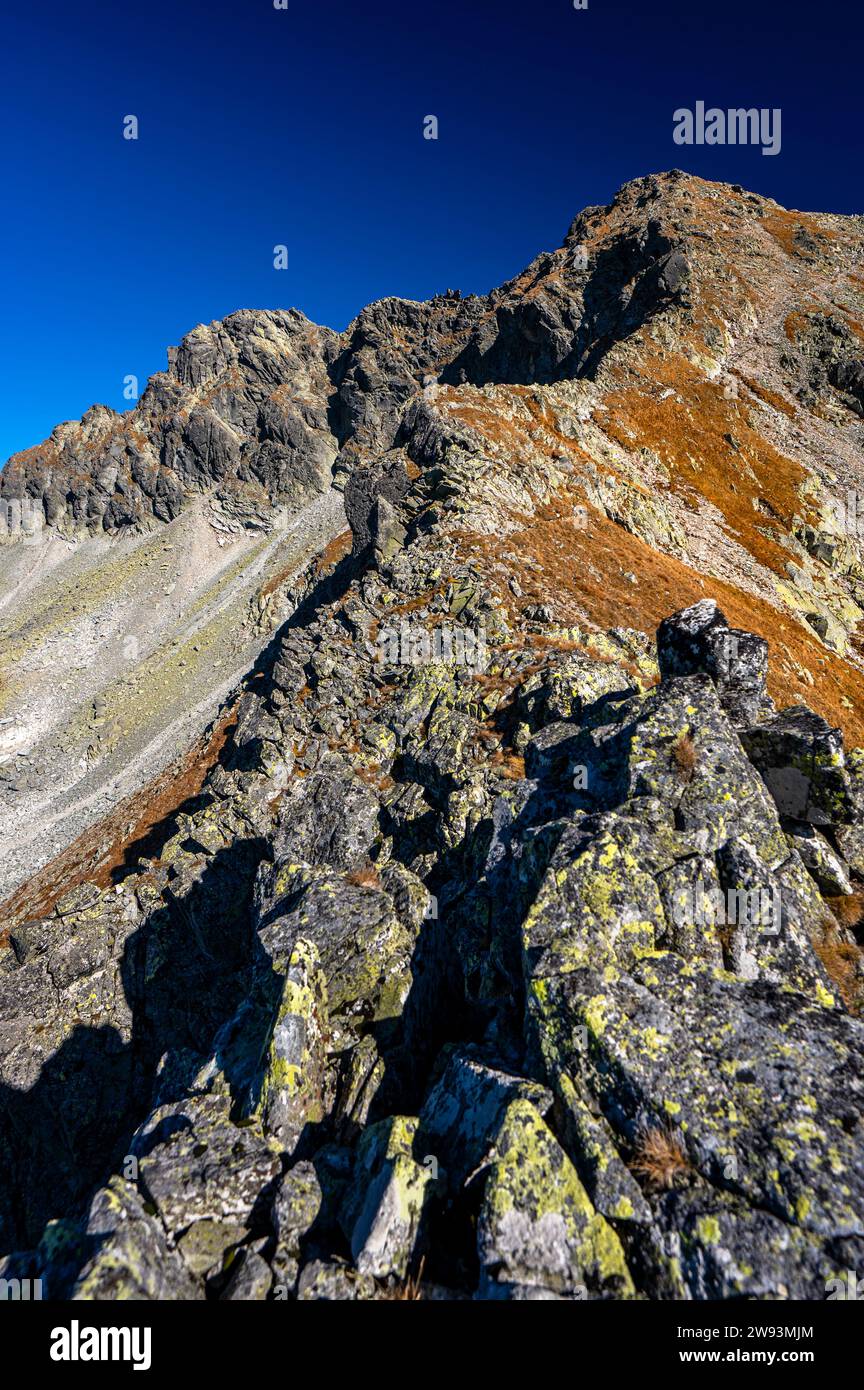 Hruby hi-res stock photography and images - Alamy Hruby hi-res stock photography and images - Alamy