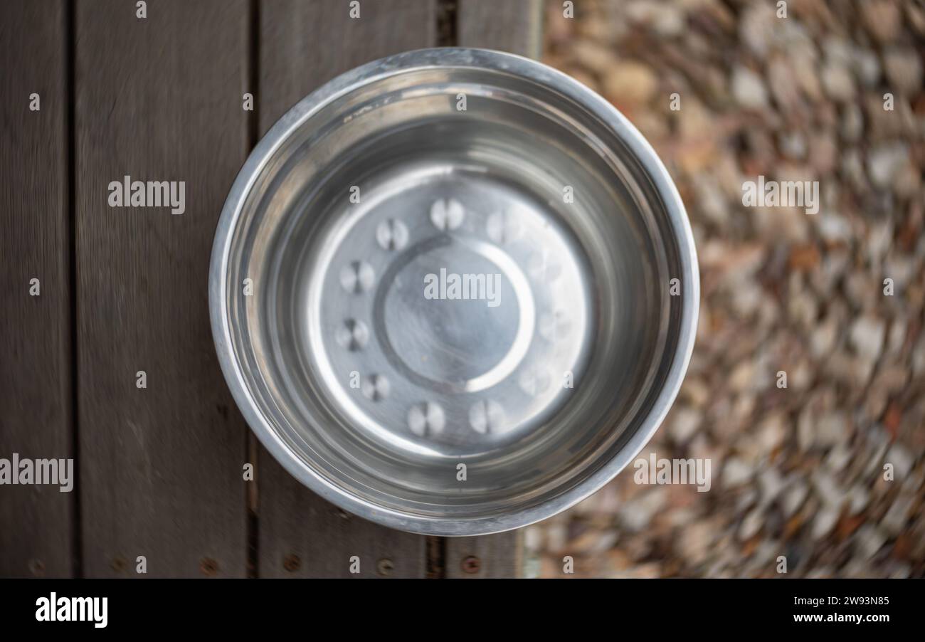 dog plate food Stock Photo - Alamy