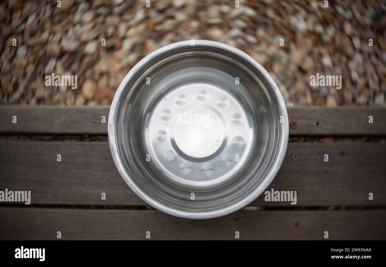 dog plate food Stock Photo - Alamy