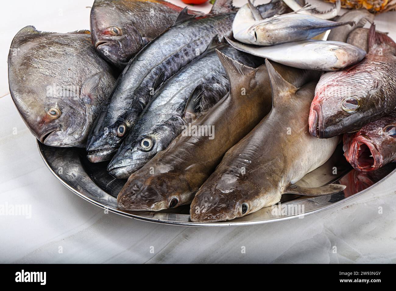 Shark displays hi-res stock photography and images - Alamy