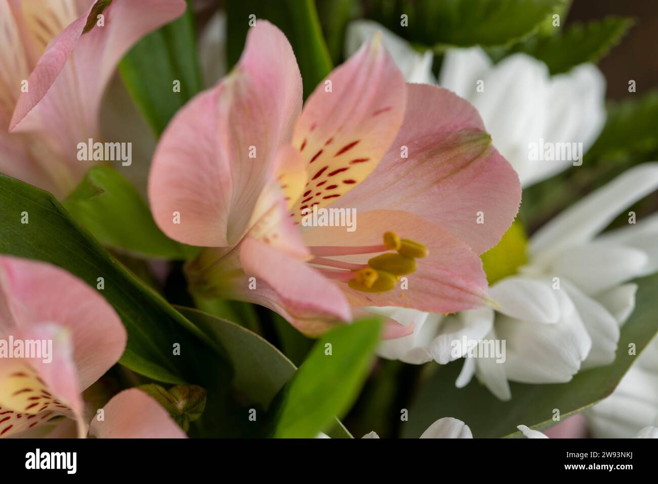 used to create a bouquet of old flowers with defects, a large number of ...