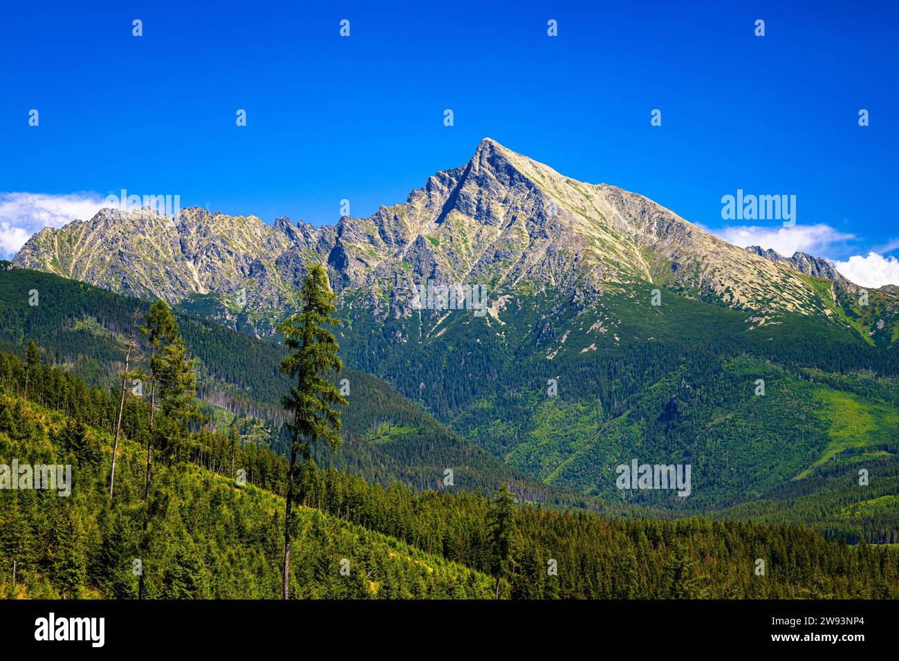 The Mount Krivan in the High Tatras. An iconic mountain of Slovakia ...