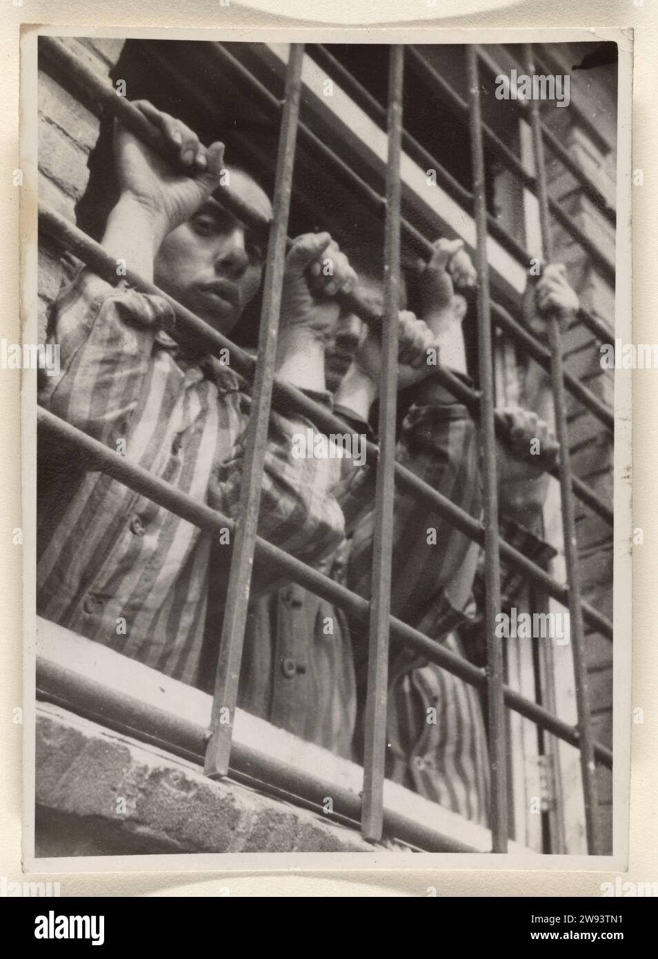 German SS people in Camp Vught, 1945 - 1947 photograph German SS people ...