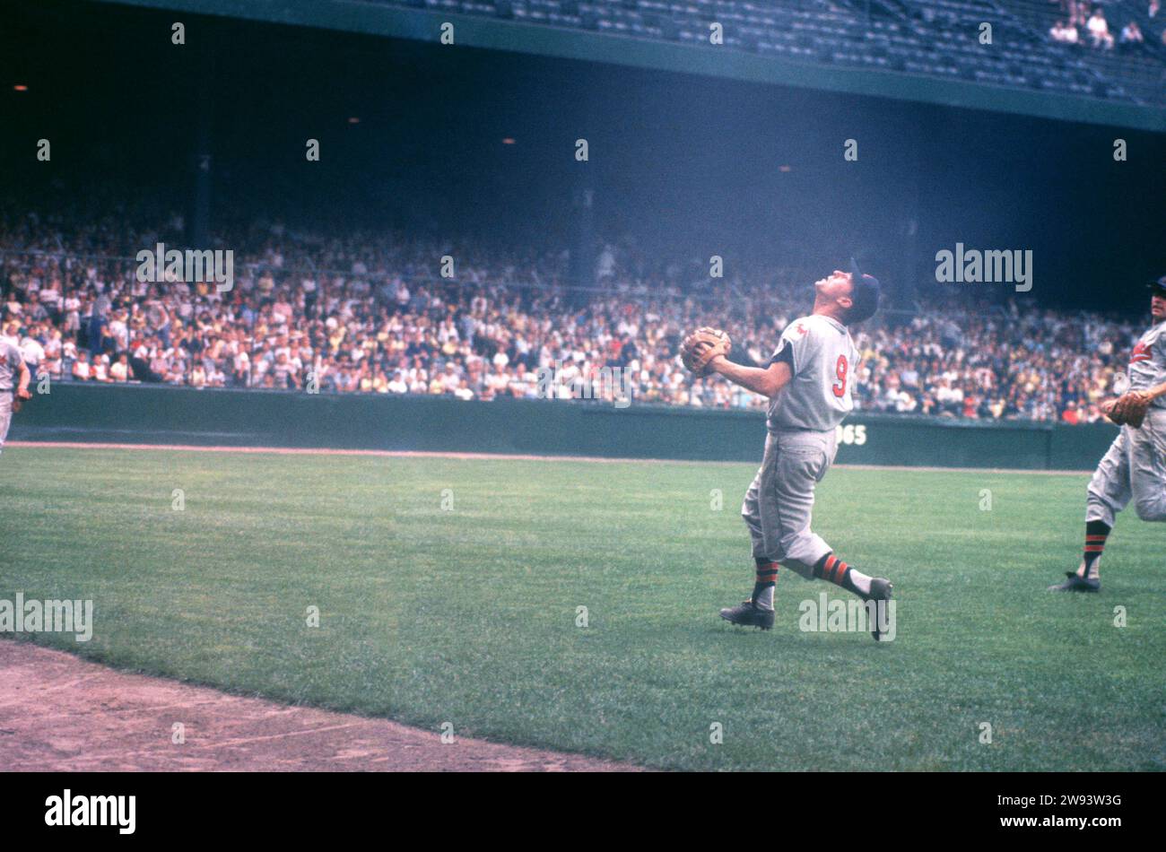 DETROIT, MI - JUNE 29: Third baseman Hal Smith #9 of the Kansas City ...