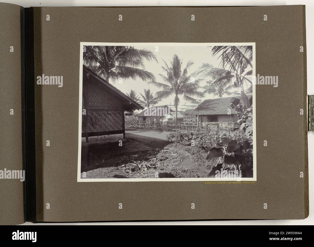 Genitri hi-res stock photography and images - Alamy