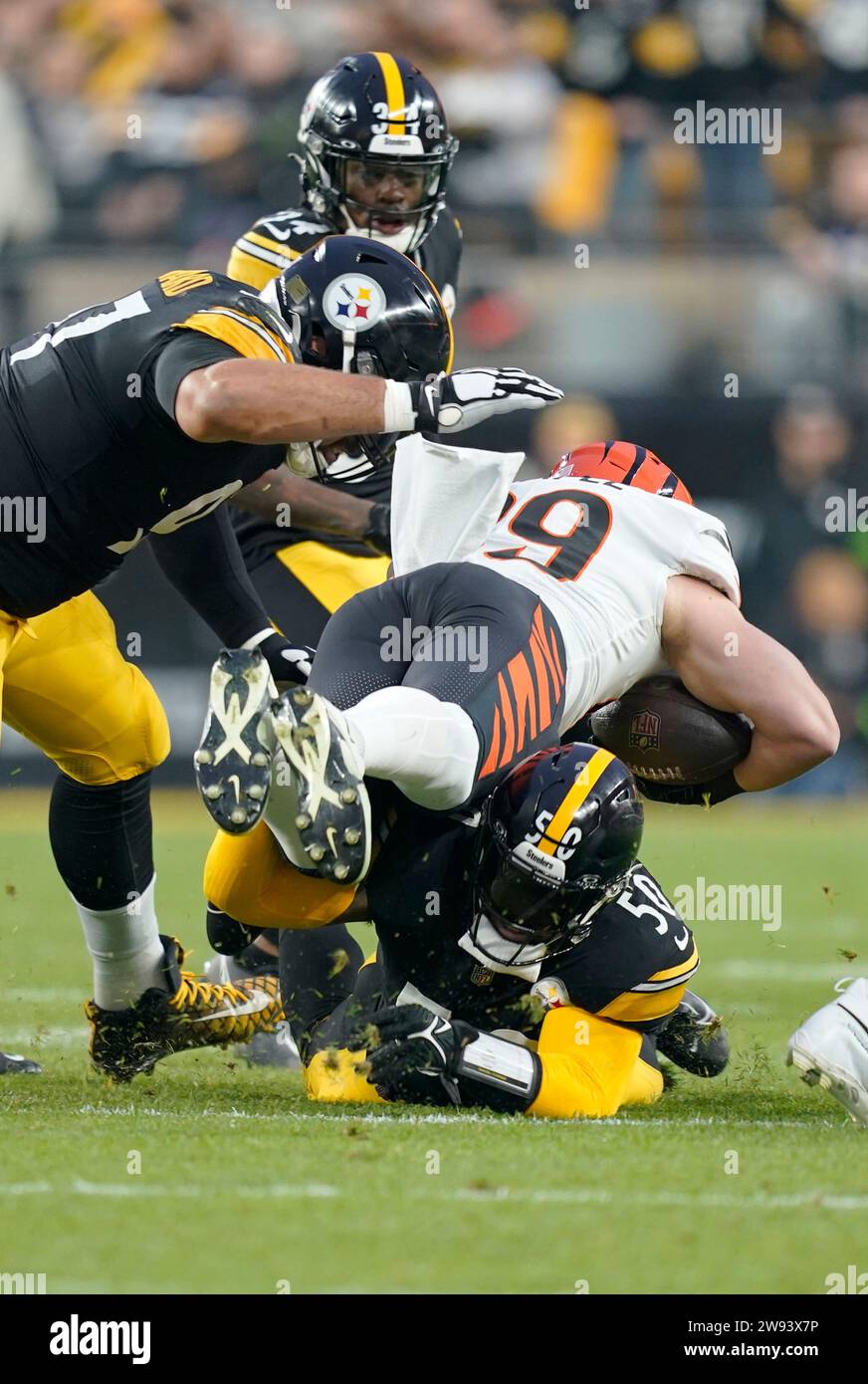 Elandon roberts hi-res stock photography and images - Alamy