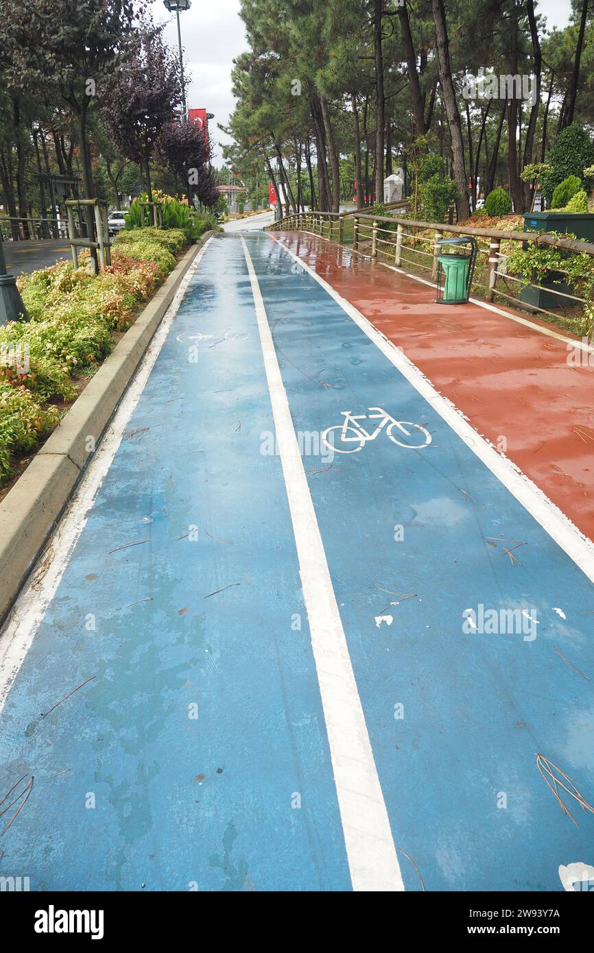 Bicycle symbol on the blue road surface Stock Photo - Alamy