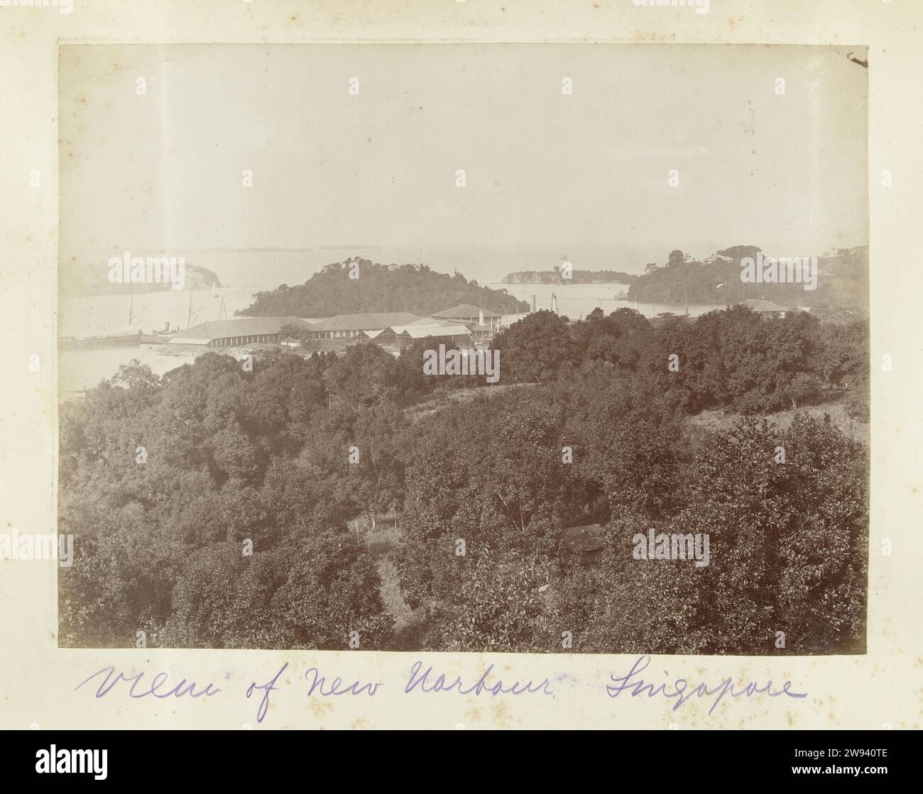 View of the port of Singapore and the nearby afforestation, c. 1890 - c ...