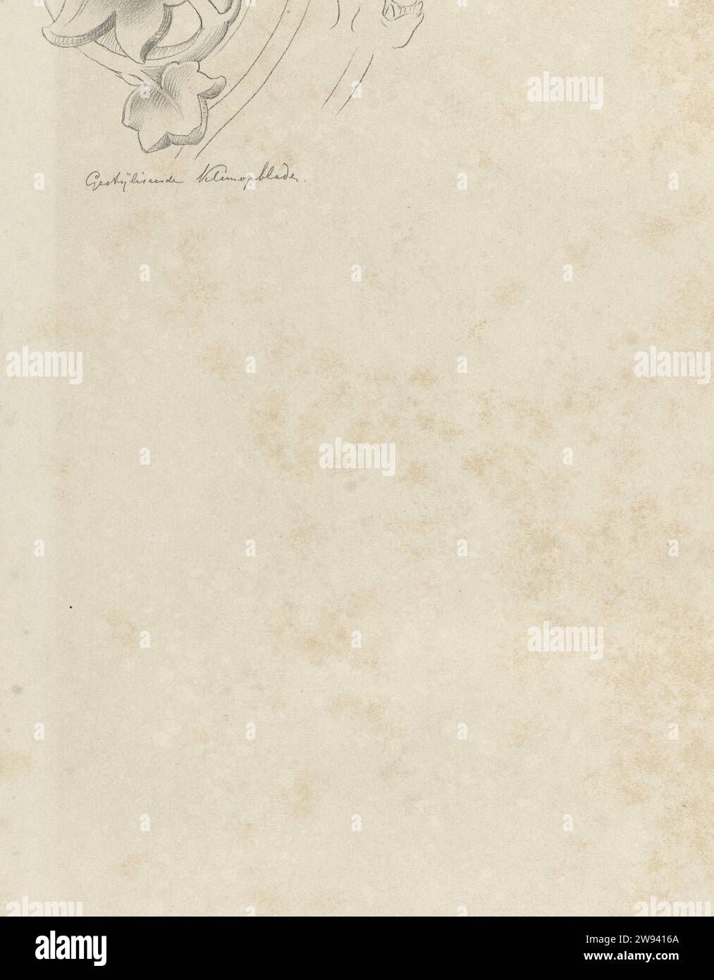 Lion whose moons go over in ivy leaves, c. 1866 - c. 1900 drawing paper ...