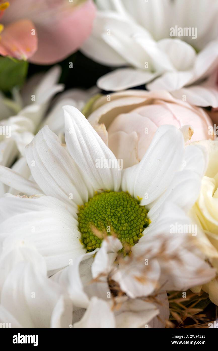 used to create a bouquet of old flowers with defects, a large number of ...