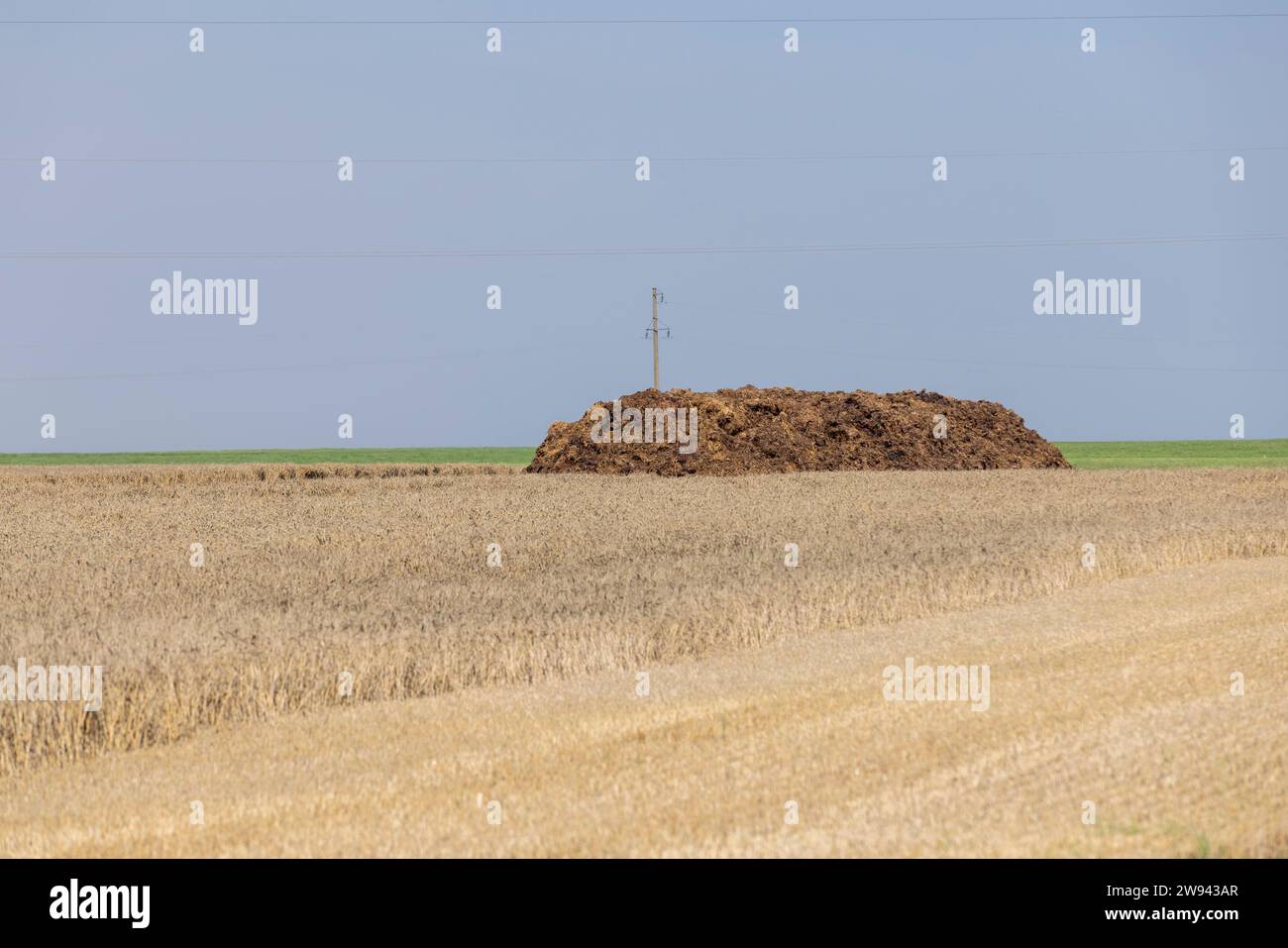 a pile of natural manure for fertilizing the field, natural fertilizers ...