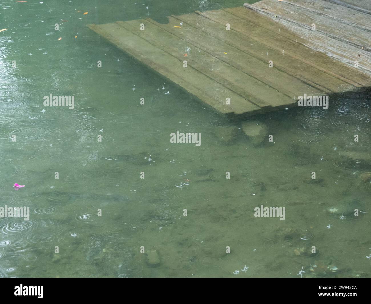 Beautiful gentle rain falling onto the shallow river water surface ...