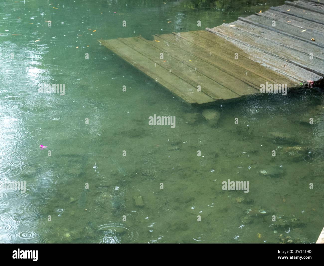 Beautiful gentle rain falling onto the shallow river water surface ...
