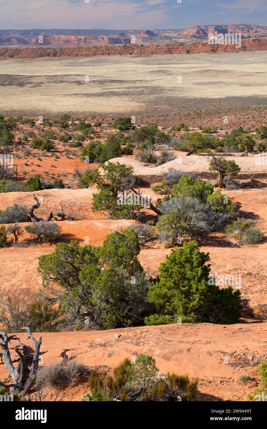 Salt Valley from Devils Garden Trail, Arches National Park, Utah Stock ...