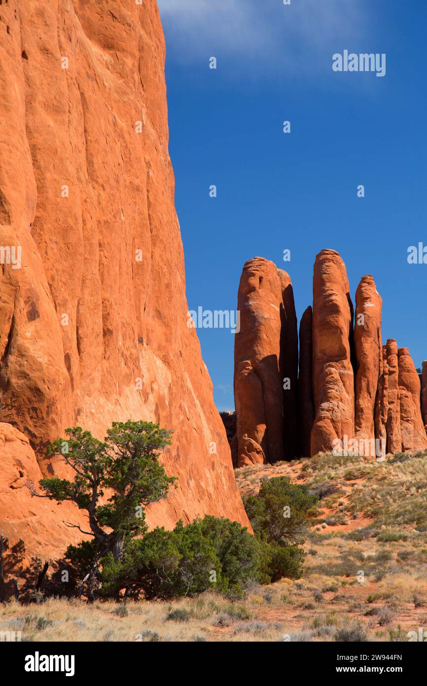 Sandstone outcrop along Broken Arch Trail, Arches National Park, Utah ...