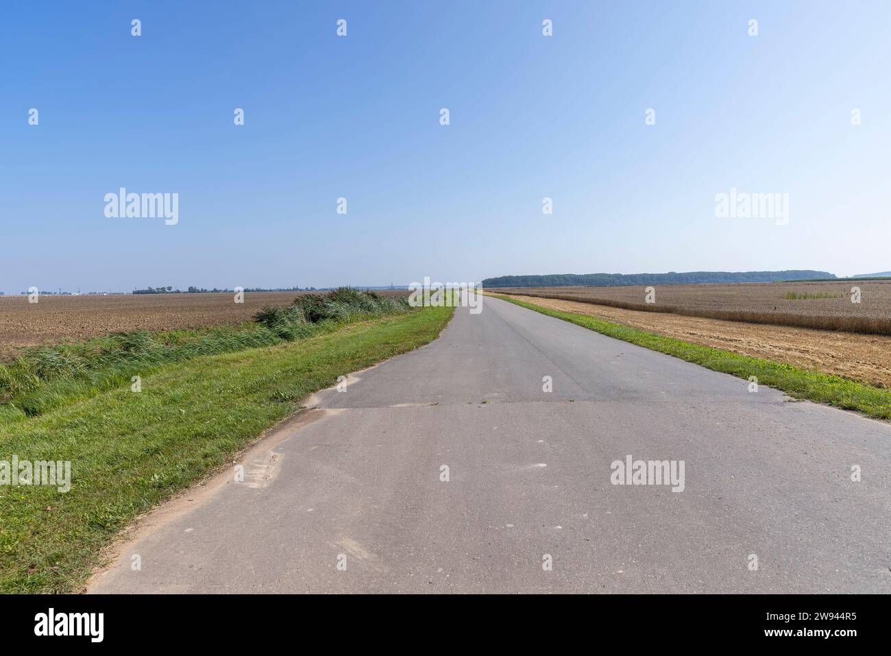 asphalting a new highway in the field , a narrow road for cars in ...