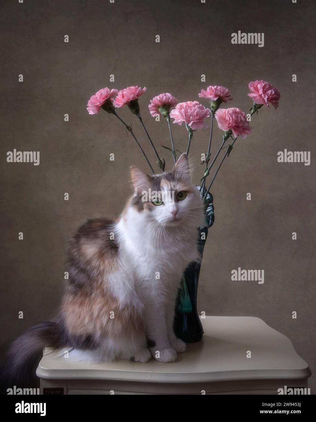 Bouquet of flowers with animals hi-res stock photography and images - Alamy