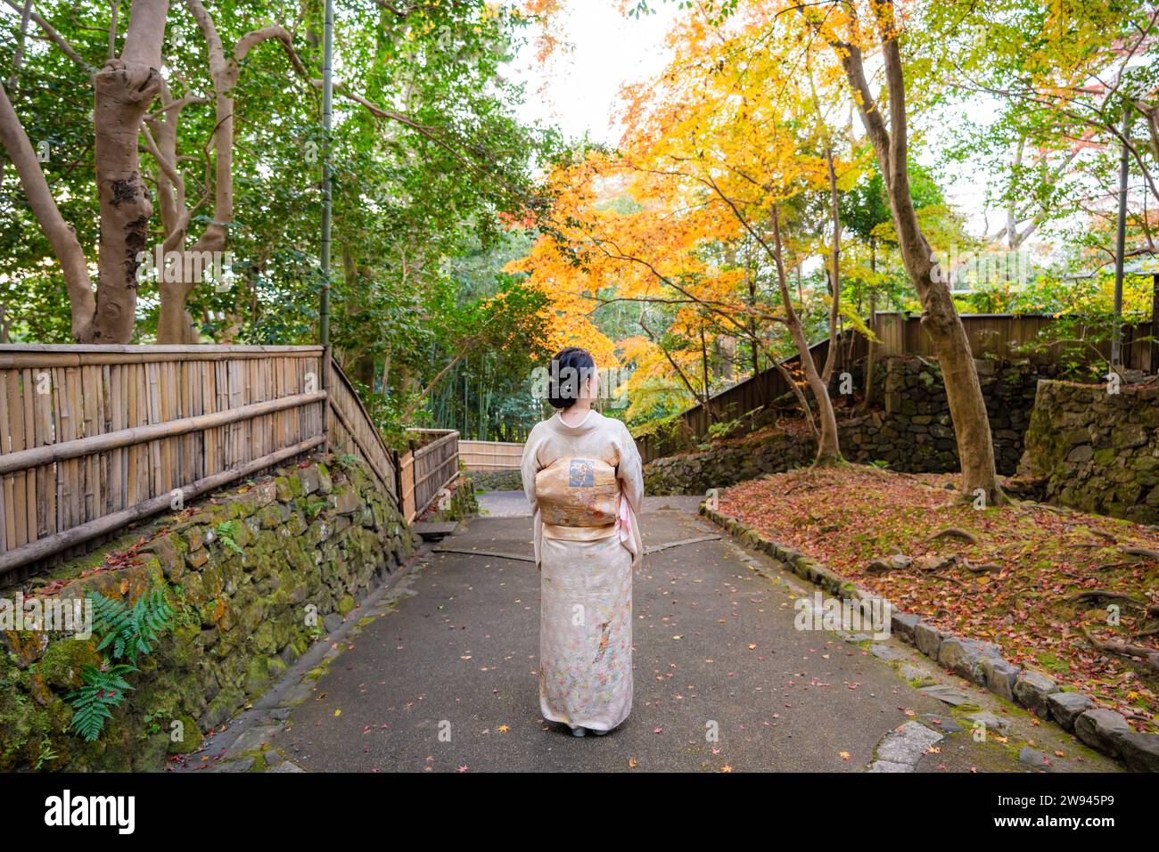 Back view a woman wearing Japanese traditional kimono. Kyoto in autumn ...