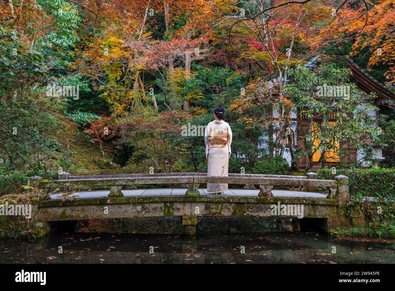 A woman wearing kimono standing on a Japanese style stone arch bridge ...