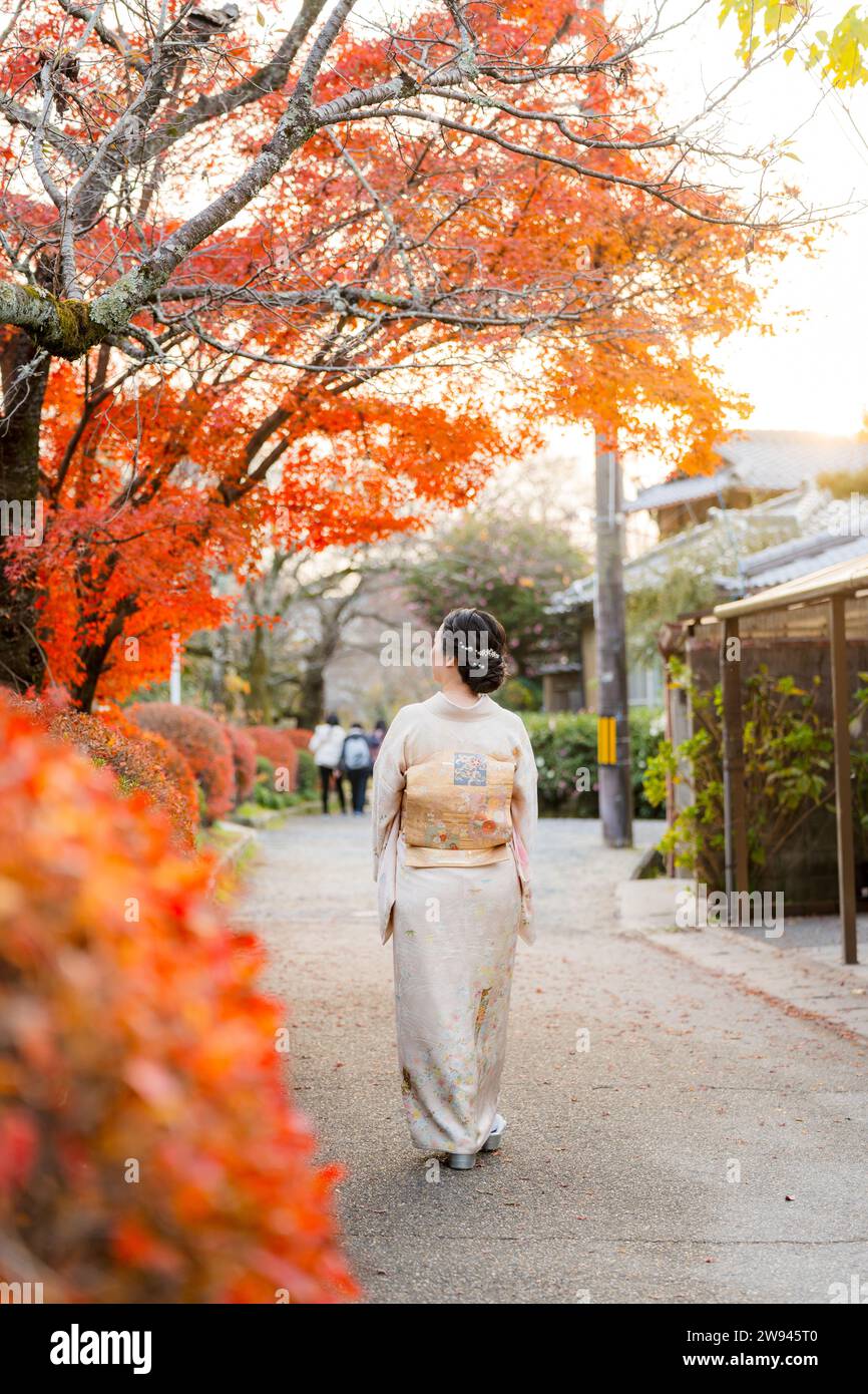 Japanese Female Kimono Portrait photography. Maple leaves turning red ...